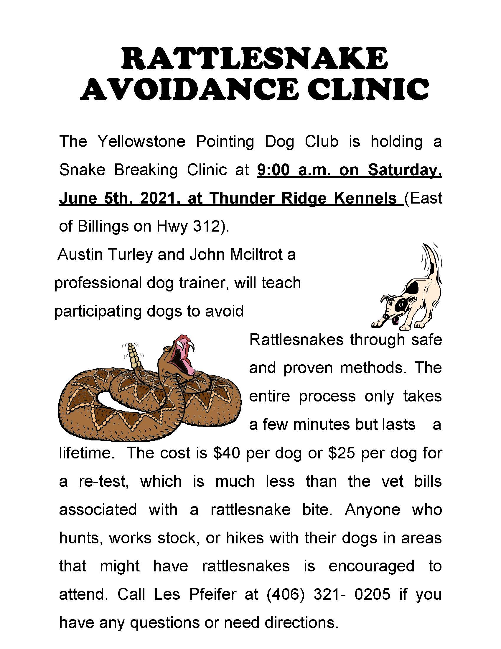 Billings MT Rattlesnake Avoidance Clinic